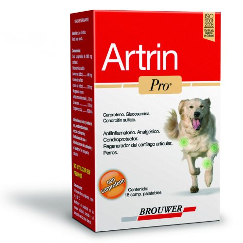 ANIMALES DE COMPAÑíA - veterandina