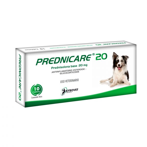 PREDNICARE 20 - veterandina